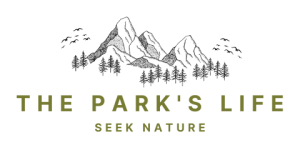 Can You Forage in National Parks? Here’s The Answer – The Park's Life