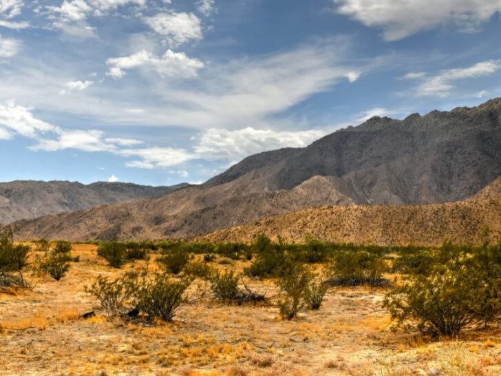 The Complete Guide to Car Camping in California (Free Spots) – The Park ...